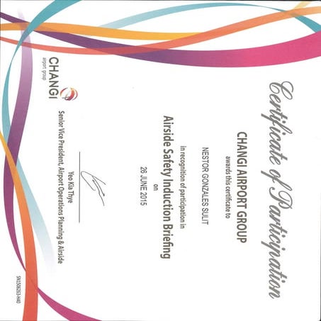 changi seminar | PDF