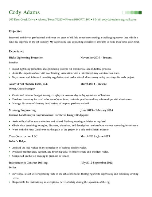 Destiny Resume | PDF