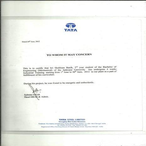 TATA STEEL | PDF