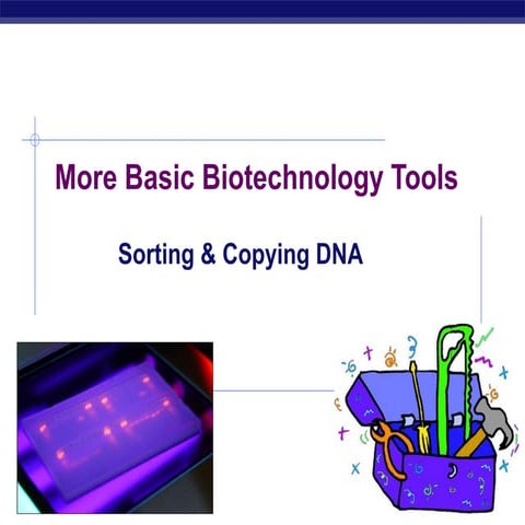 Gel Electrophoresis Notes | PPT