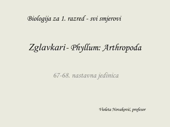 14. Ribe sa hrskavicavim skeletom | PPTX