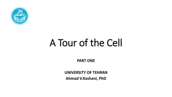 6 - A tour of the cell - Part Three | PPT