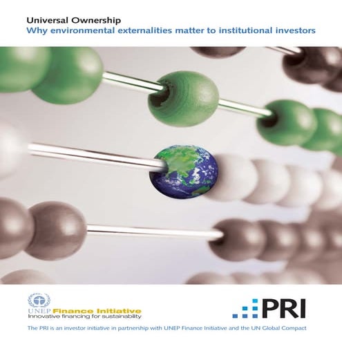 Report Environmental Externalities | PDF