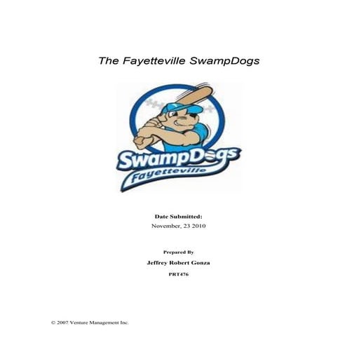 2010 Fayetteville SwampDogs Marketing Plan | PDF