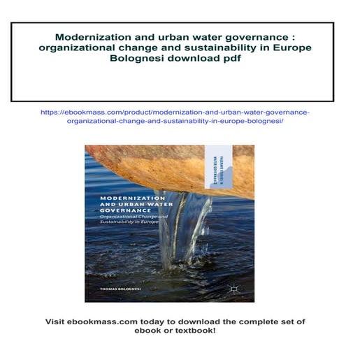 Modernization and urban water governance : organizational change and ...