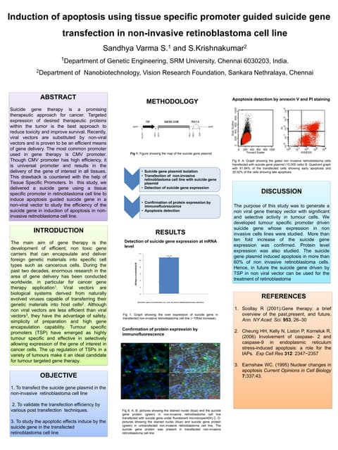 My research poster | PDF | Genetics | Science