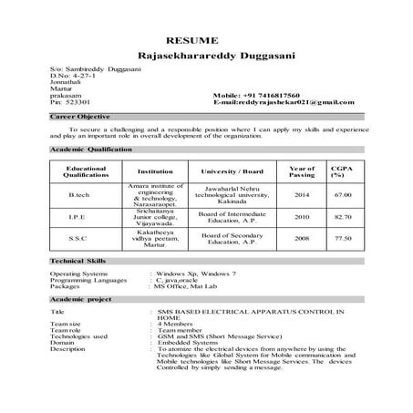 raja resume | PDF
