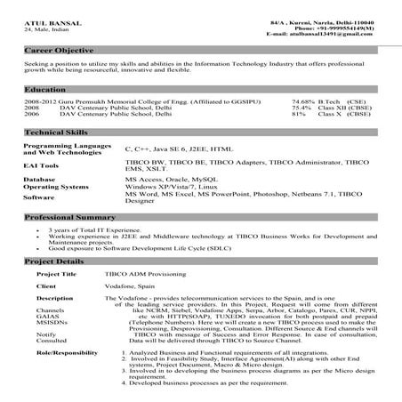 CV Information Technology Specialist Ranjit 2020 | DOCX