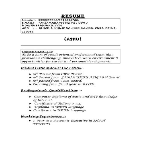 Ashu Resume | DOC