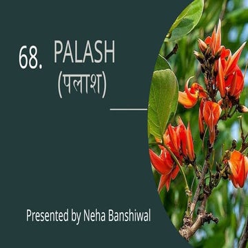 68. Palash - Neha Banshiwal.pptx second prof | PPTX