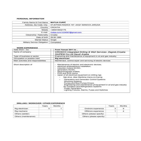 CV-Matija Curic (3) (2) | PDF