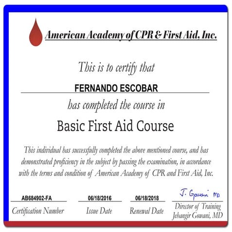 Basic First Aid Course | PDF