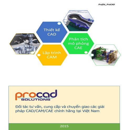 Profile_ProCAD_VN | PDF