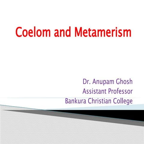 683713269-Evolution-of-Coelom-and-Metamerism.pdf