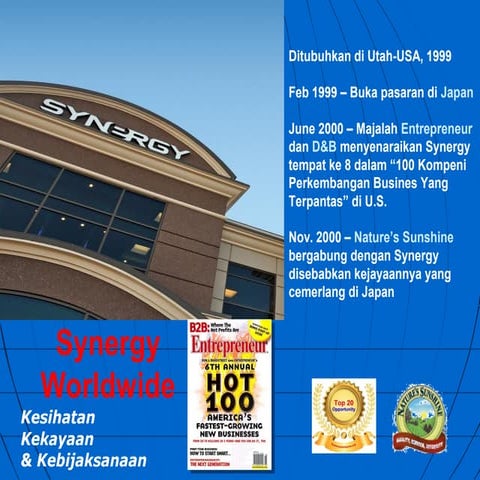 Synergy Worldwide presentation | PPT