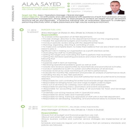Alaa CV (2) | PDF