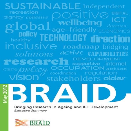 BRAID Executive Summary | PDF