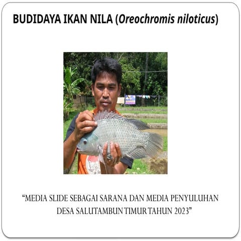 Teknik Pembesaran Nila Merah Nilasa di Balai PTPB DIY | PPTX