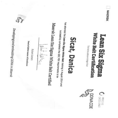LEAN SIX SIGMA CERTIFICATE | PDF