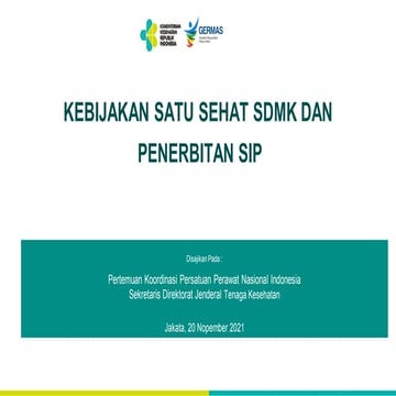 689280206-KEBIJAKAN-SATU-SEHAT-SDMK-dan-PENERBITAN-SIP-PPNI.pdf