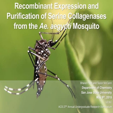 2015 UCSC ACS Talk | PPT