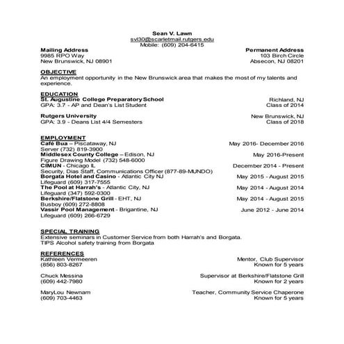 Sean Lawn Resume | DOCX