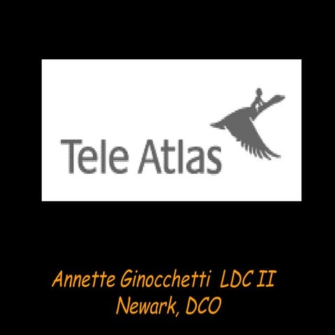 Annette Ginocchetti, Gisp presentations