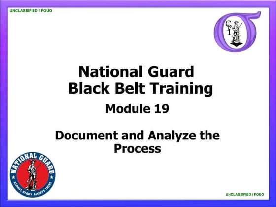 Option Analysis Process | PDF