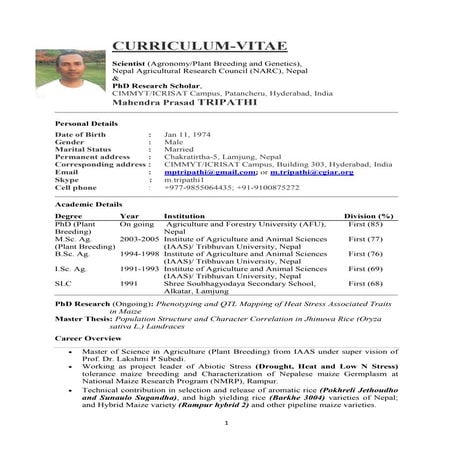 CV_MP_Tripathi_ June 2015 | PDF