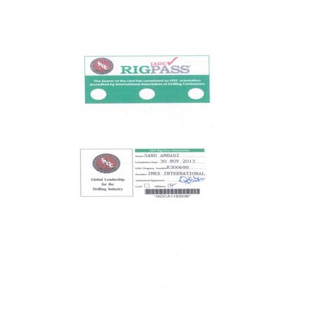 112-IADC Rig Pass | PDF