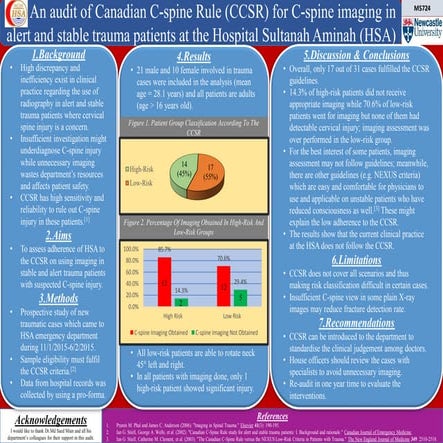 SSC 1 Audit Poster | PDF
