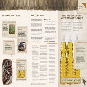 Palm Oil: Forced, child and trafficked labour | PPT