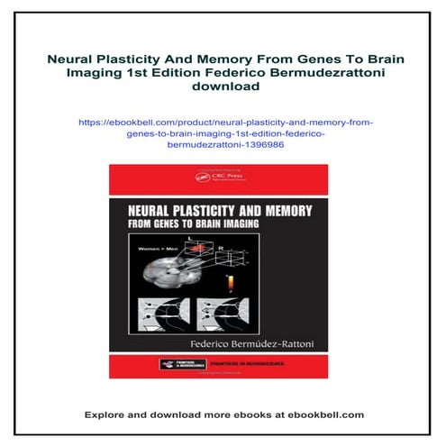 Neural Plasticity And Memory From Genes To Brain Imaging 1st Edition ...