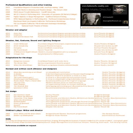 Aaron Simons Professional Resume | PDF