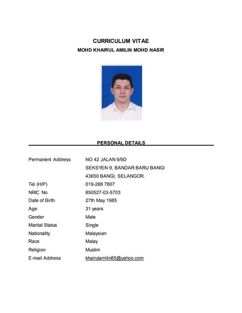 CV Jules de Rijp - Version May 2016 | PDF