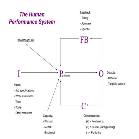HPS Diagram | PPT