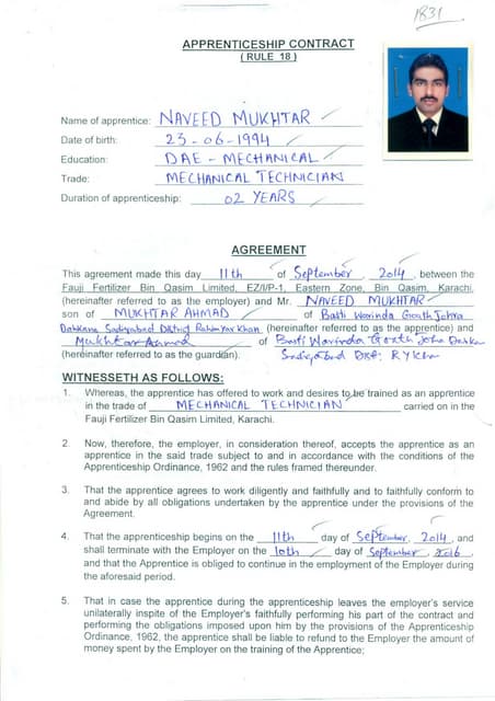 DAE Degree | PDF
