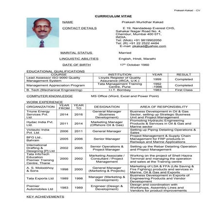 Consultant profile arijit basu | PDF