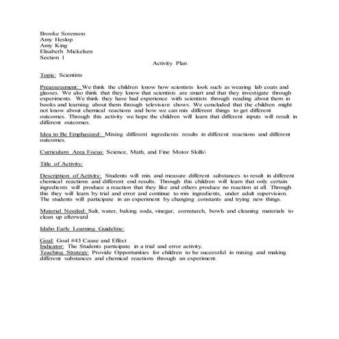 Activity Plan | DOCX