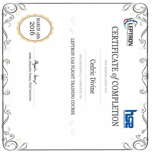 flight training certification | PDF