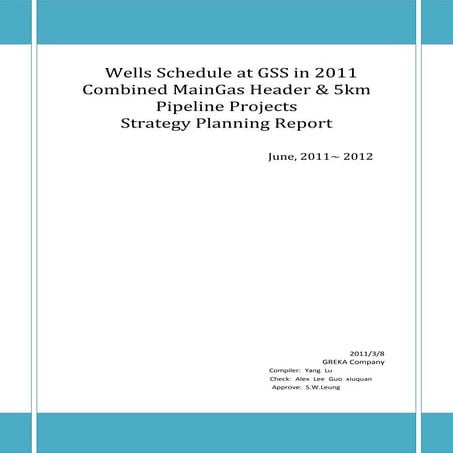 -Strategy Planning Report | PDF