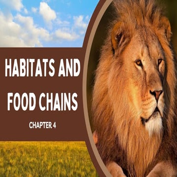 6A_Chapter 4_Habitats and Food Chains-4.pdf