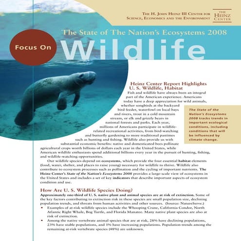 SNE-Wildlife_Fact_Sheet | PDF