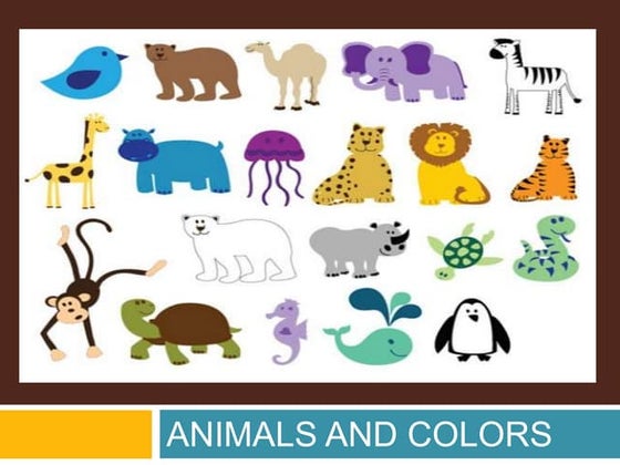 Animals | PPT