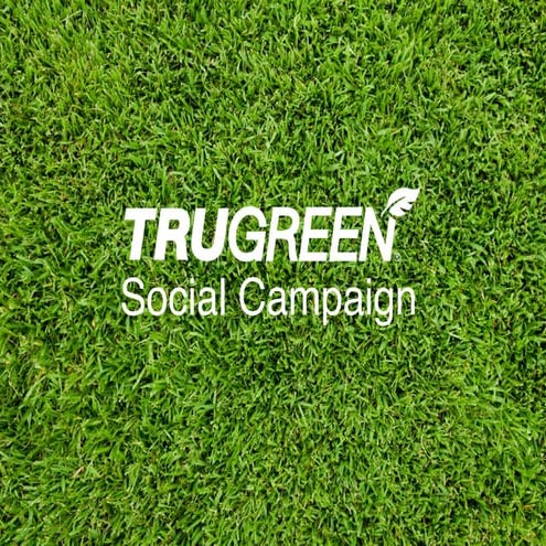 TRUGREEN INTERN DECK FULL | PPT