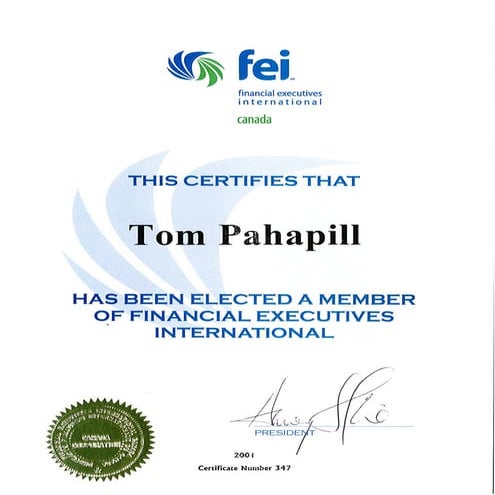 FEI Certificate | PDF