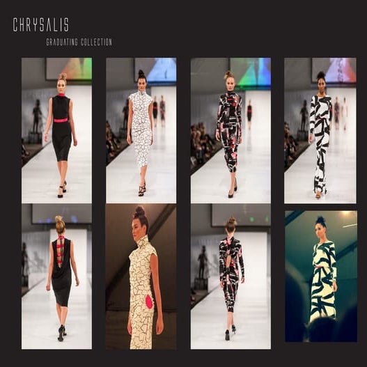 Chrysalis Portfolio boards | PDF