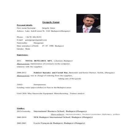 CV Gatai Gergo | PDF