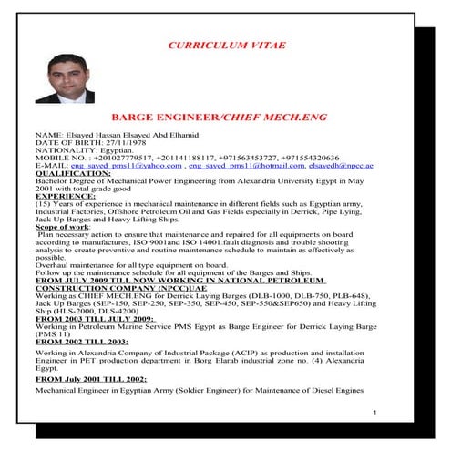 Elsayed cv updated | DOC