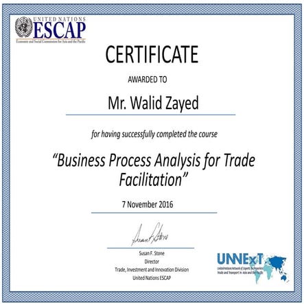 BPA Course Certificate_Mr. Walid Zayed | PDF